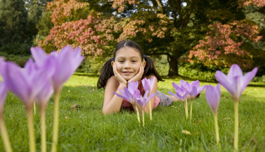 Travelling Britain | Massgeschneiderte Reisen | Urlaub | Kontakt